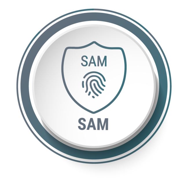 Qlik Section Access Manager - Ebiexperts